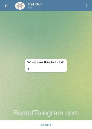 Cat Bot Telegram Bot